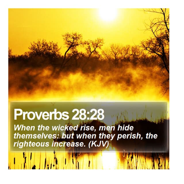 Proverbs 28:28 - Daily Bible Verse | PDF