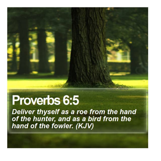 Proverbs 6:5 - Daily Bible Verse | PDF