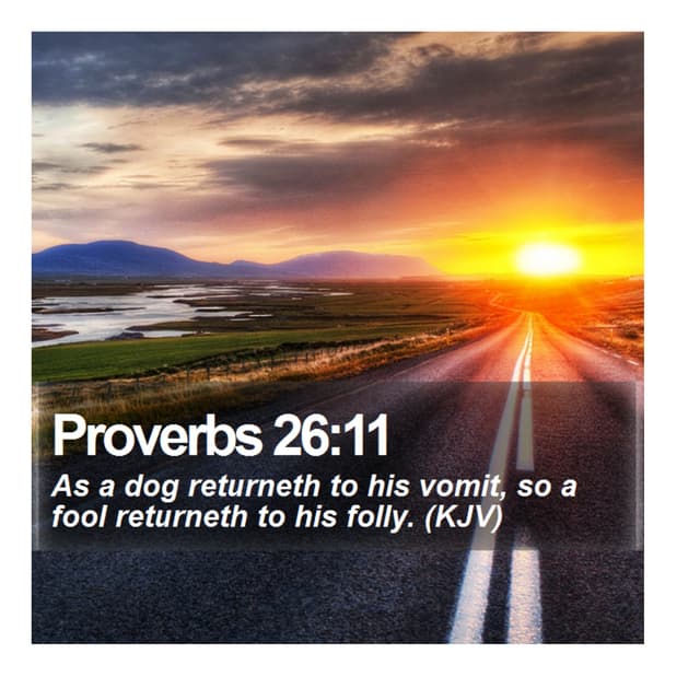 Proverbs 26:11 - Daily Bible Verse | PDF
