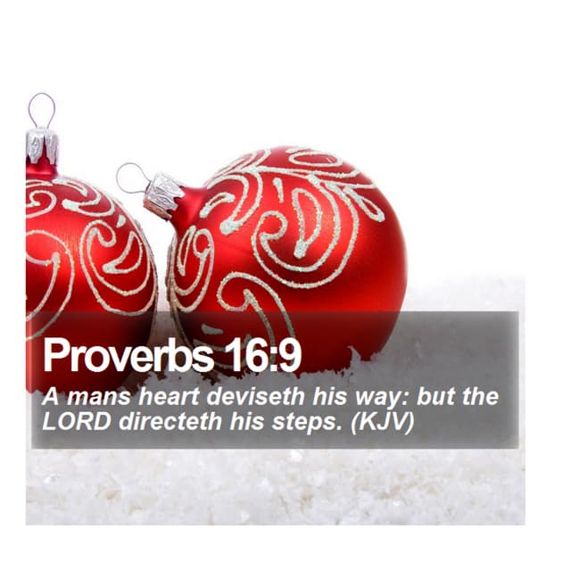Proverbs 16:9 - Daily Bible Verse | PDF