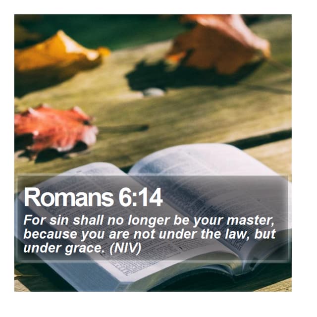 Romans 6:14 - Daily Bible Verse | PDF