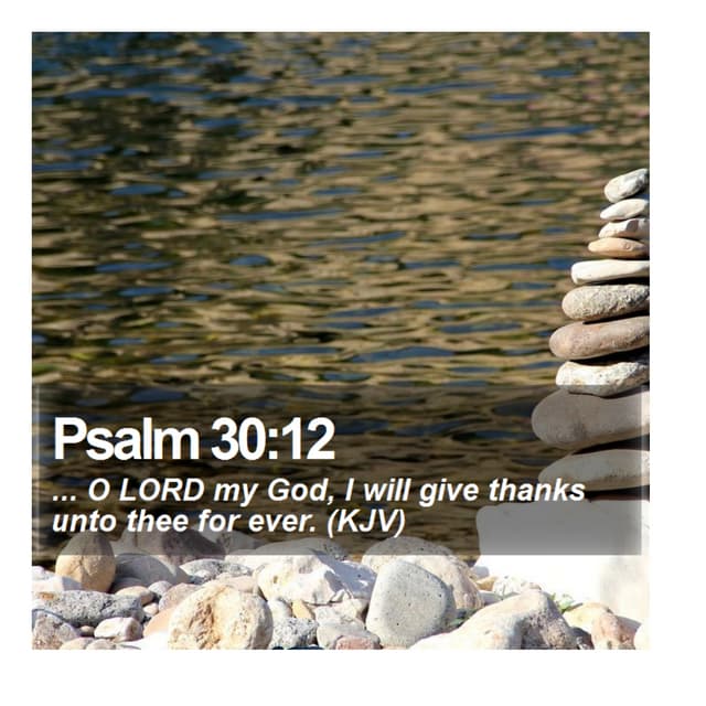 Psalm 30:12 - Daily Bible Verse | PDF