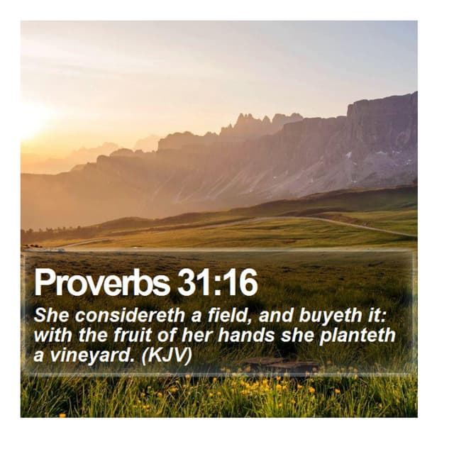 Proverbs 31:16 - Daily Bible Verse | PDF