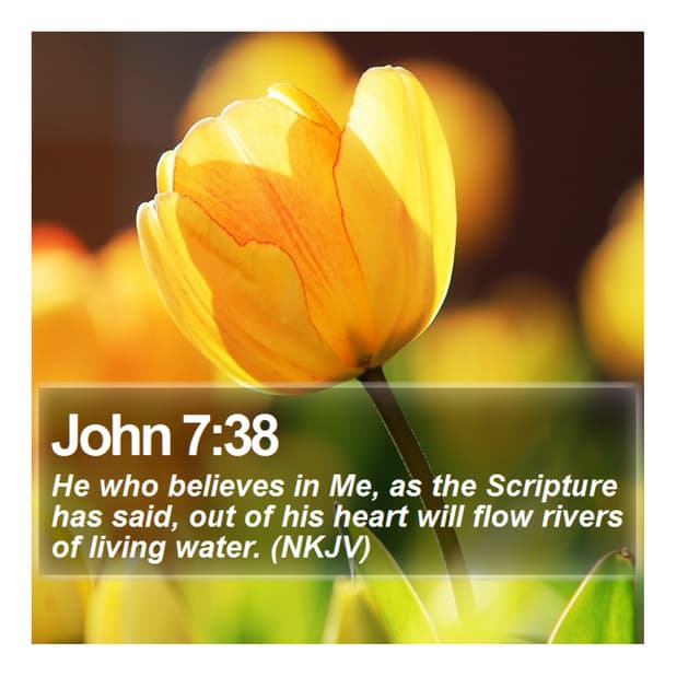 John 7:38 - Daily Bible Verse | PDF