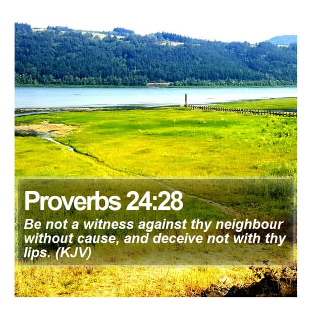 Proverbs 24:28 - Daily Bible Verse | PDF