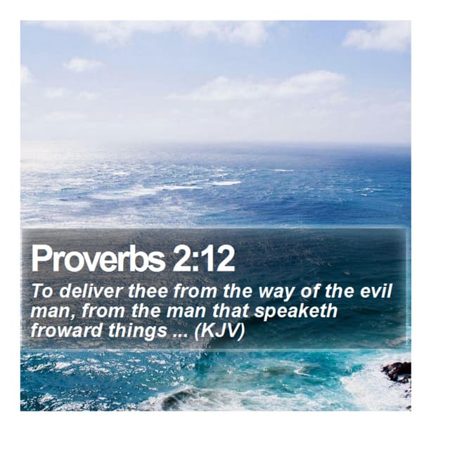 Proverbs 2:12 - Daily Bible Verse | PDF