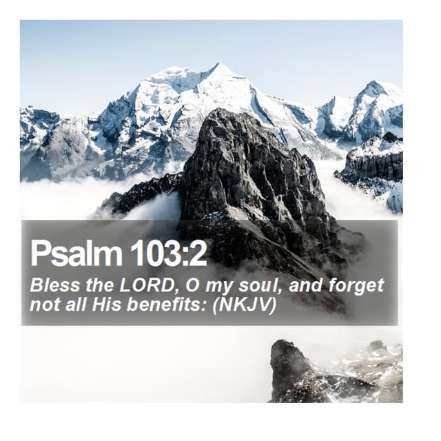 Psalm 103:2 - Daily Bible Verse | PDF