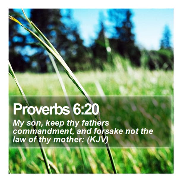 Proverbs 6:20 - Daily Bible Verse | PDF
