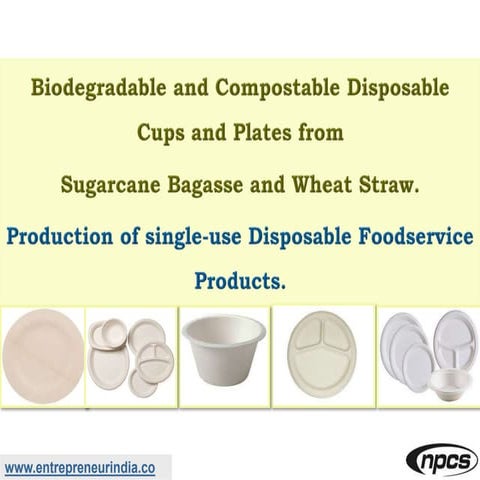 Biodegradable and Compostable Disposable Cups and Plates | PPTX