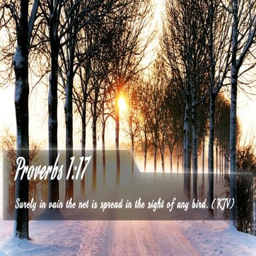Proverbs 1:17 - Bible Verse of the Day | PPT