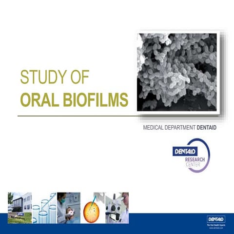 Studying Oral Biofilms | PPTX