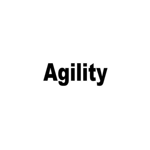Agility in Action | PPTX | Databases | Computer Software and Applications