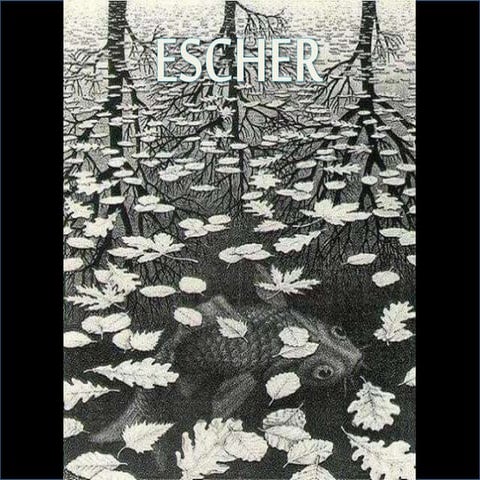 M.C. Escher - visual illusions | PPTX