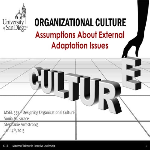 Organizational Culture & External Adaptation Issues | PPTX