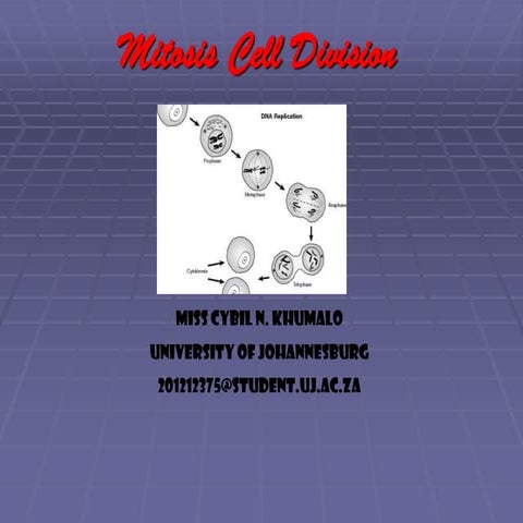 Mitosis powerpoint | PPT