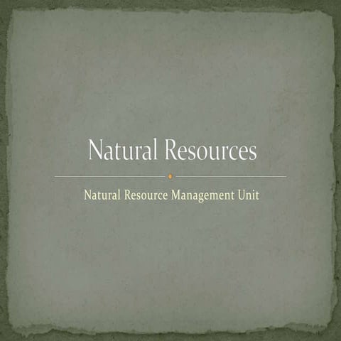 Natural Resources Presentation | PPTX