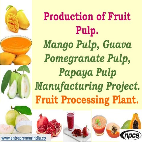 Production of Fruit Pulp. Mango Pulp, Guava Pulp, Pomegranate Pulp ...
