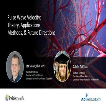 Pulse Wave Velocity: Theory, Applications, Methods, and Future Directions | PDF