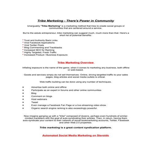 Tribe Marketing | RTF