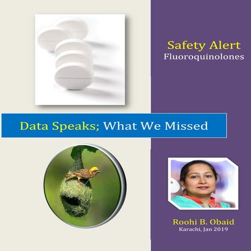 Data Speaks; What We Missed | PDF