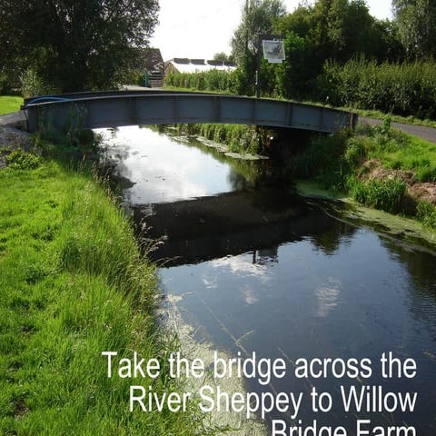 Willow bridge farm
