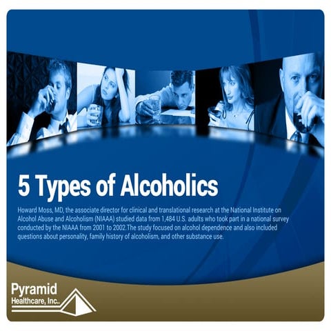 Slide Show: 5 Types of Alcoholics | PDF