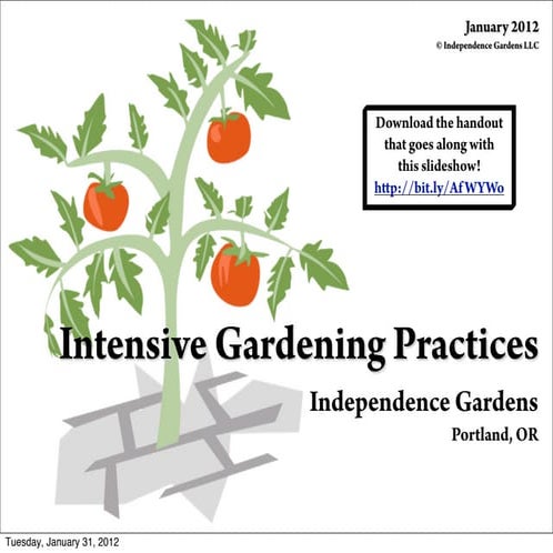 Intensive Gardening Practices - Growing a Lot in a Little Space | PDF