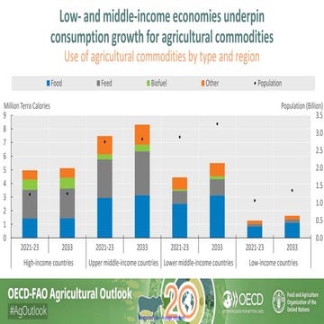 The OECD-FAO Agricultural Outlook 2024-2033 | PPTX