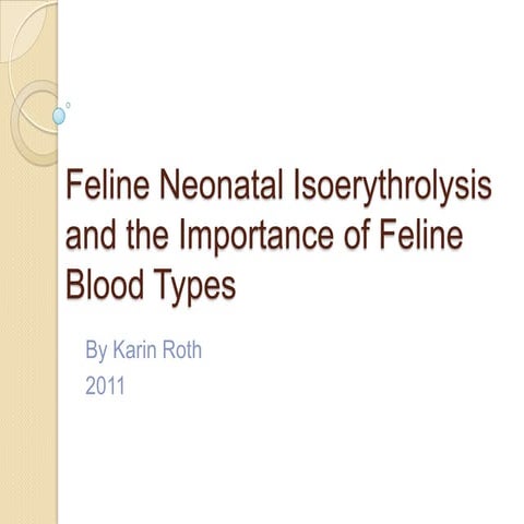 Feline Neonatal Isoerythrolysis | PPTX
