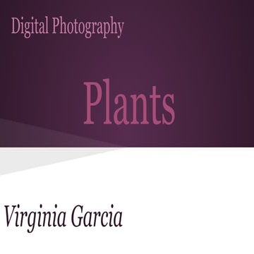 Slideshow Theme Assignment 2 Ppt 3012