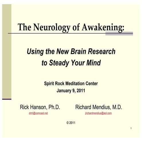 The Neurology of Awakening: Using the New Brain Research to Steady Your ...