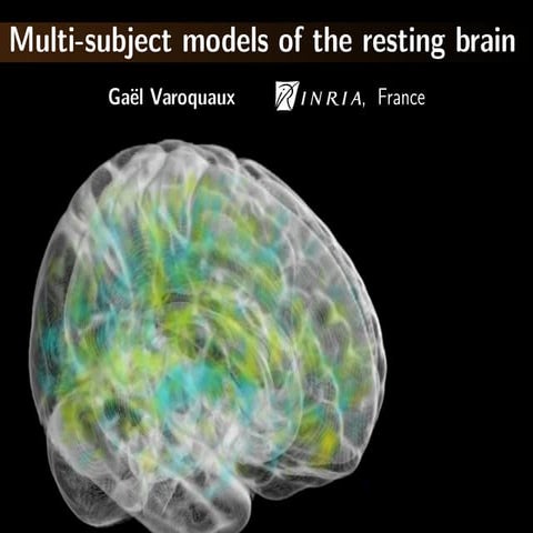 Multi Subject Models Of The Resting Brain Pdf Geography Science
