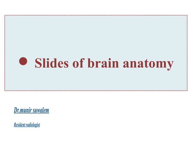 Slides of brain anatomy .part2 | PPTX
