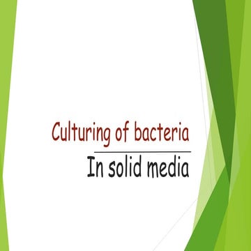 Slides of solid media | PPTX