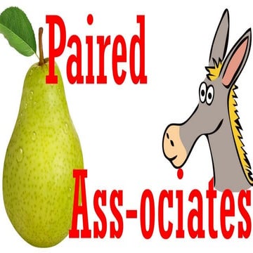 Paired Assoicates | PDF
