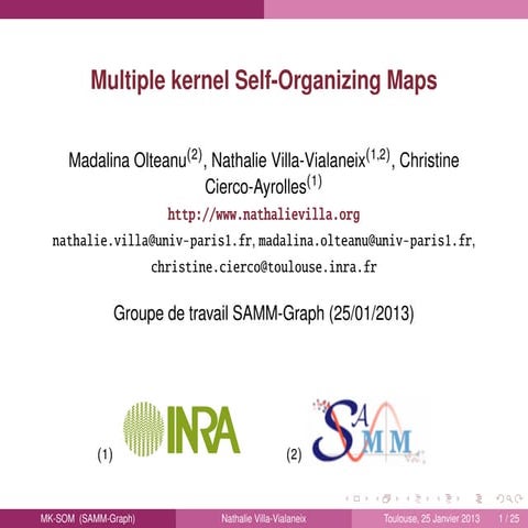 Multiple kernel Self-Organizing Maps | PPT