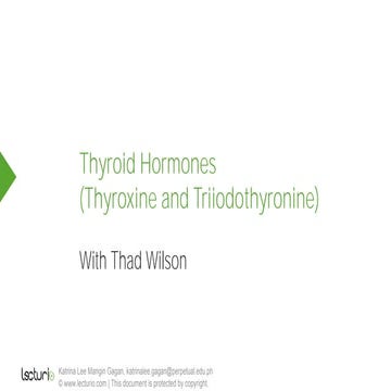 Slides Thyroid Endocrine System Pdf