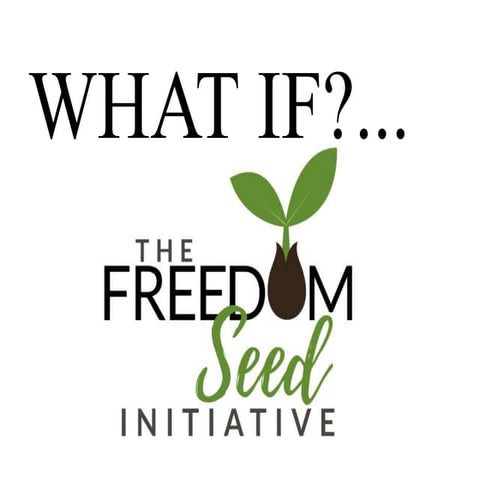 Slides || What if? | PPT