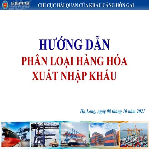 Slide tap huan phan loai hang hoa xnk 2021 HQHG | PPTX