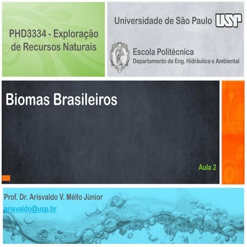 SLIDE USP BIOMAS BRASELEIROS, CERRADO, PAMPA | PDF