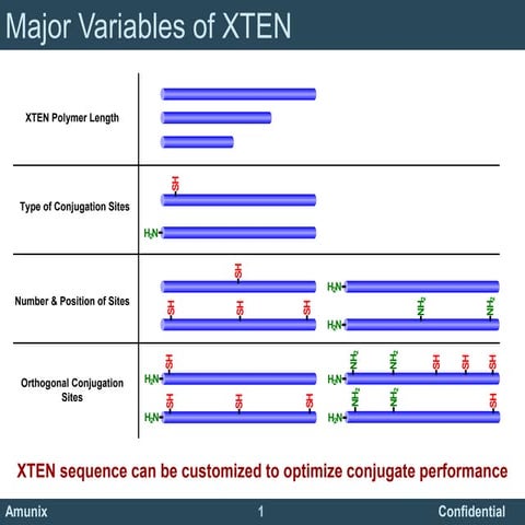 XTEN Conjugation v1 | PDF