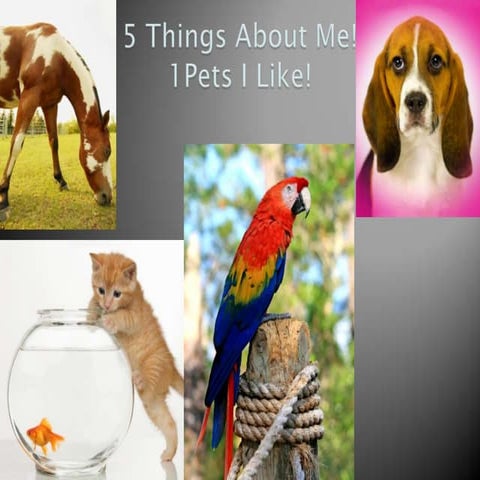 5 things about me | PPTX
