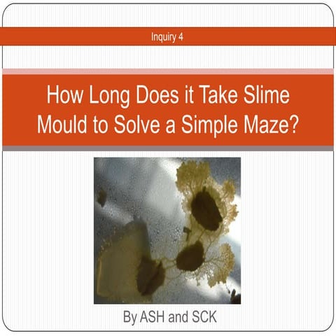 Slime Mould Inquiry | PPTX