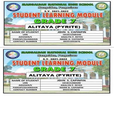 Slm cover | DOCX | Parenting | Family and Relationships