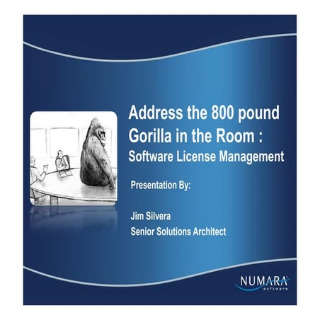 Numara Presentation - Address the 800lb Gorilla in the Room: Software ...