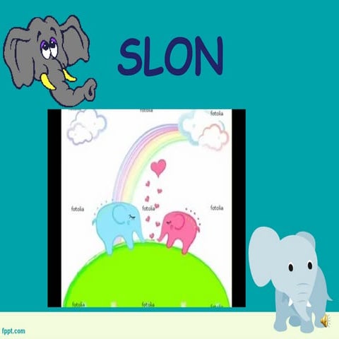 Slon | PPT