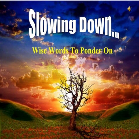 Slowing Down...Wise Words To Ponder On | PPT