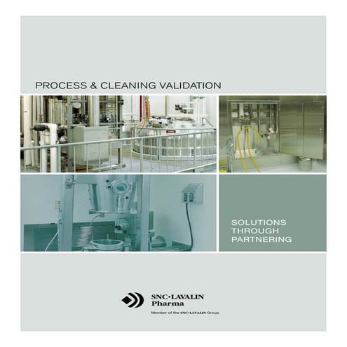 Slp Process & Cleaning Validation Eng | PDF | Manufacturing Industry | Industries