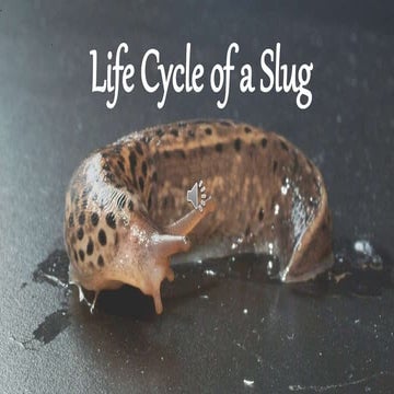 Slug presentation final | PPTX