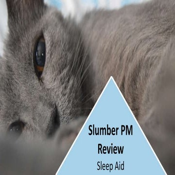 Slumber Pm Review | PPTX